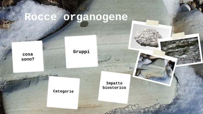 Rocce organogene by Jacopo La Rocca on Prezi