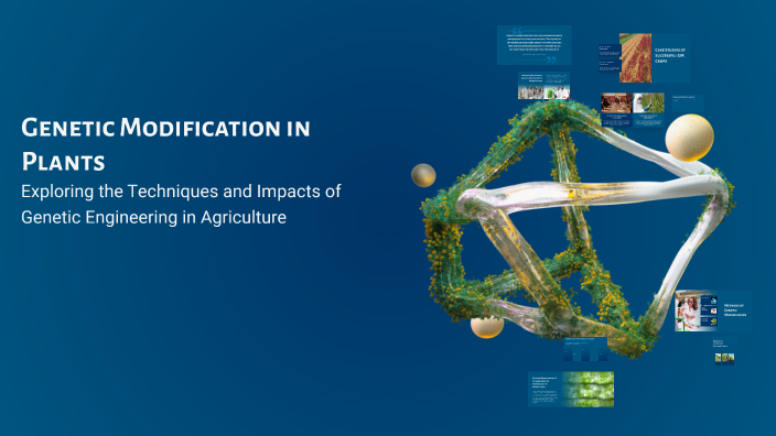 Genetic Modification in Plants by Ellona Jane Taguic on Prezi