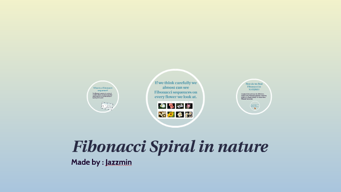 Fibonacci Spiral in nature by Jazzmin Conrad on Prezi