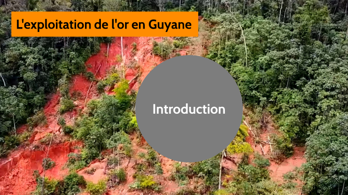L'exploitation de l'or en Guyane by Edwin Feneux on Prezi