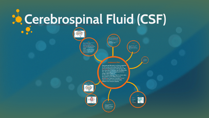 Cerebrospinal Fluid (CSF) by Aine Collier on Prezi