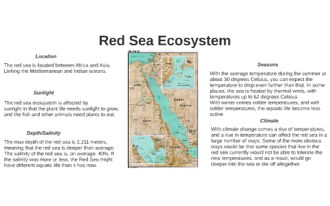 Red Sea Ecosystem by Wesley Cates on Prezi