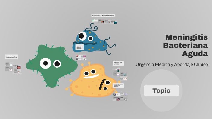 Meningitis Bacteriana Aguda by Rosario garcia on Prezi