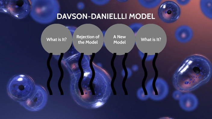 DAVSON-DANIELLLI MODEL by Siya Patel on Prezi