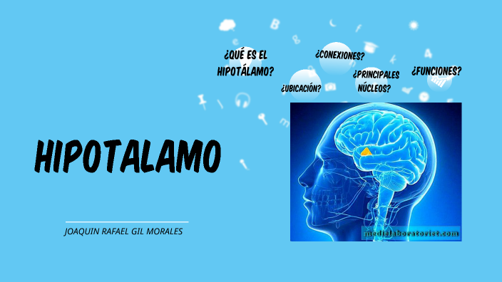HIPOTALAMO by Rafael Gil Morales on Prezi