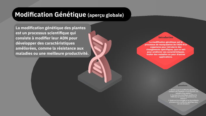 Modification Génétique by Hiba Soraya on Prezi