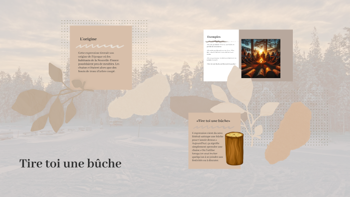 Tire toi une bûche by Gabe O'Connell on Prezi