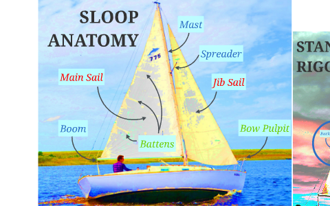 SLOOP ANATOMY by Travis Smith on Prezi