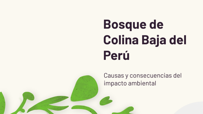 Bosque de Colina Baja del Perú by Oscar Vences Silva on Prezi
