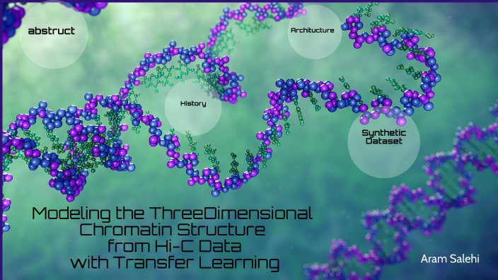 Modeling the ThreeDimensional Chromatin Structure from Hi-C Data with Transfer Learning by aram ...