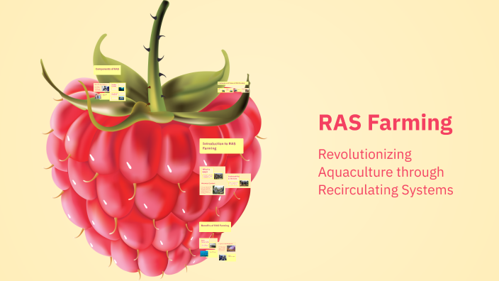 RAS Farming by Magnus Kaikai on Prezi