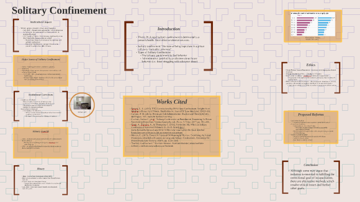 Solitary Confinement by Hailey Hamby on Prezi