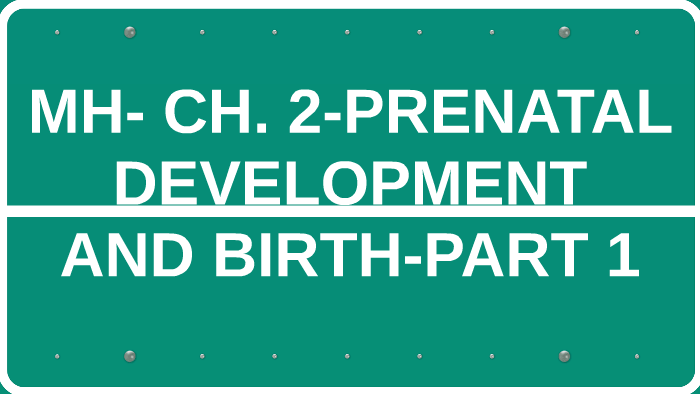 LS-MH-CH. 2-Part 1--PRENATAL DEVELOPMENT AND BIRTH-PART 1 by Linda Olson on Prezi