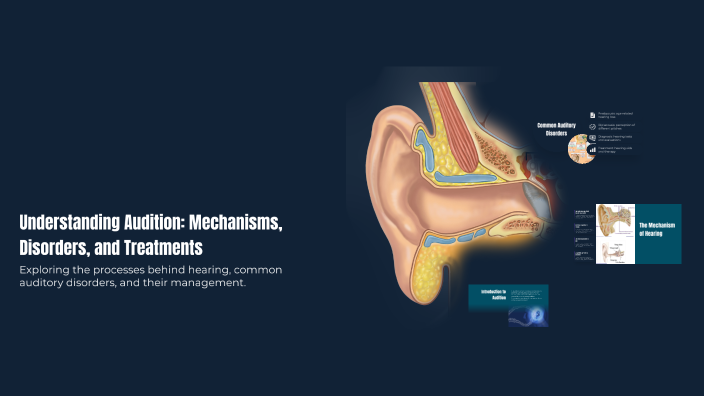 Understanding Audition: Mechanisms, Disorders, and Treatments by Farah ...