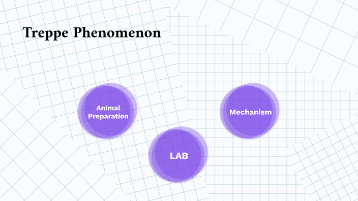 Treppe Phenomenon by Pimrapat Bunrotchu on Prezi
