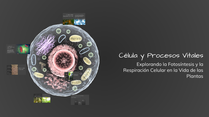 Célula y Procesos Vitales by Zoé Martínez on Prezi