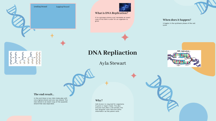DNA Replication by Ayla Stewart on Prezi
