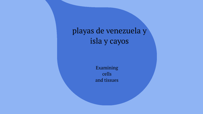 playas de venezuela y isla y cayos by Kevin Morillo on Prezi