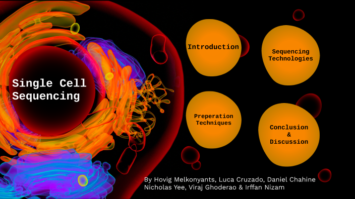 41162 Presentation 1 by Luca Cruzado on Prezi