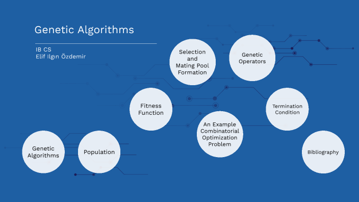 Case Study by ELIF ILGIN OZDEMIR