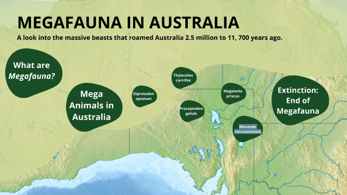 Megafauna Australia by Ruby Maroney on Prezi