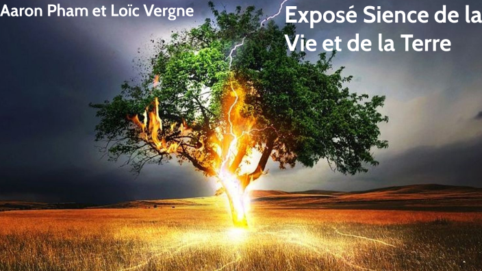 exposé svt by aaron pham on Prezi