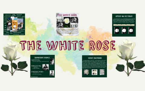 THE WHITE ROSE by on Prezi
