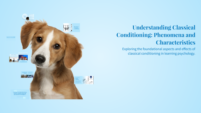 Understanding Classical Conditioning: Phenomena and Characteristics by ...
