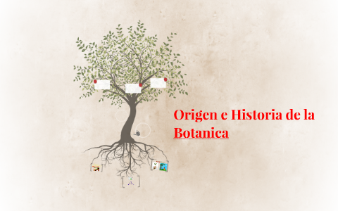 Origen e Historia de la Botanica by Mayic Germosen Checo on Prezi