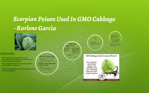 Scorpian Poison Used In GMO Cabbage by Karlene Garcia on Prezi