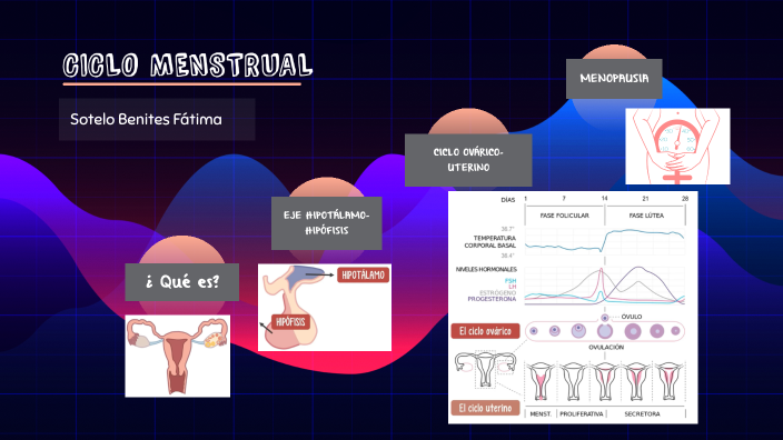 CICLO MENSTRUAL by Fátima Sotelo Benites on Prezi