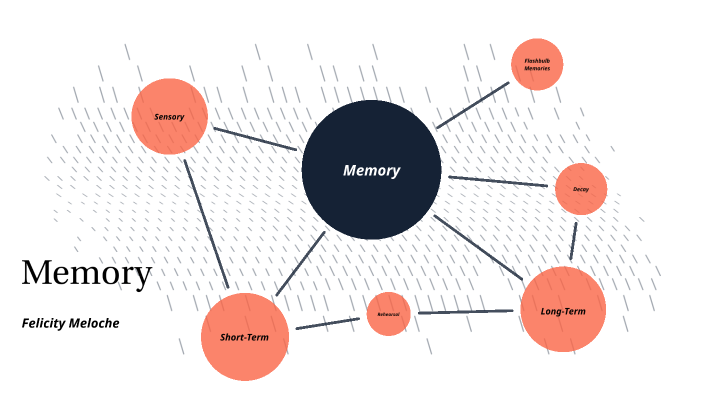 Memory Mind Map by felicity meloche on Prezi
