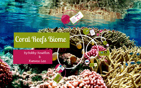 Coral Reefs Biome by Bobby Houston
