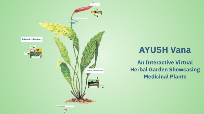 AYUSH Vana by Sanju. S on Prezi