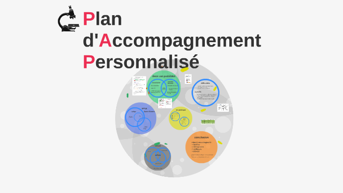 Exemple Plan d'Accompagnement Personnalisé collège by Manuella Bonifaci ...