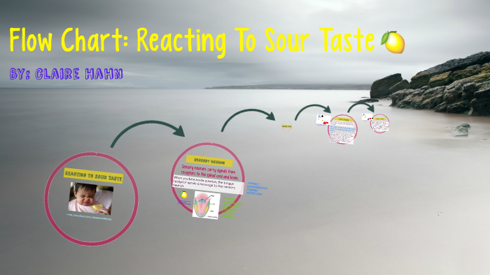 Flow Chart: Reacting To Sour Taste by Claire Hahn
