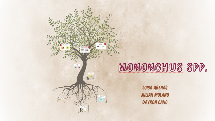 MONONCHUS SPP. by Luisa Arenas on Prezi