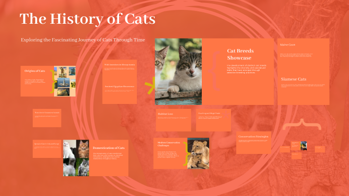 The History of Cats by Bence Molnar on Prezi