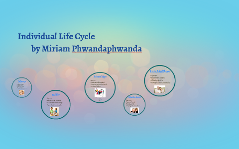 Individual Life Cycle by Miriam Phwandaphwanda on Prezi