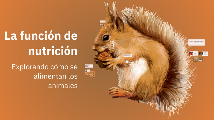 La función de nutrición by Patricia Postigo on Prezi