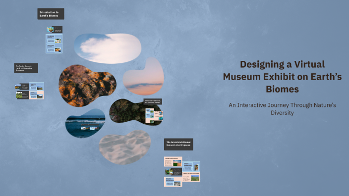 Designing a Virtual Museum Exhibit on Earth’s Biomes by Natalie Baker ...