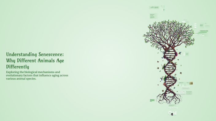 Understanding Senescence: Why Different Animals Age Differently by Ha ...