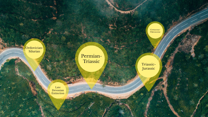 Mass Extinction Timeline by Taylor David on Prezi
