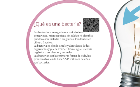 EVOLUCIÓN DE LAS BACTERIAS by Natalia Rodriguez on Prezi