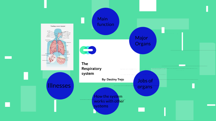 Body system by Destiny Trejo on Prezi