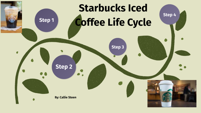 Starbucks Iced Coffee Life Cycle by Callie Steen on Prezi