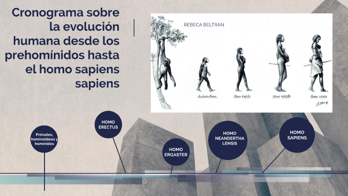 evolucion del ser humano by rebeca beltran on Prezi