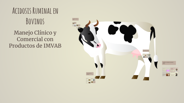 Acidosis Ruminal en Bovinos by Joaquín Montalvo on Prezi