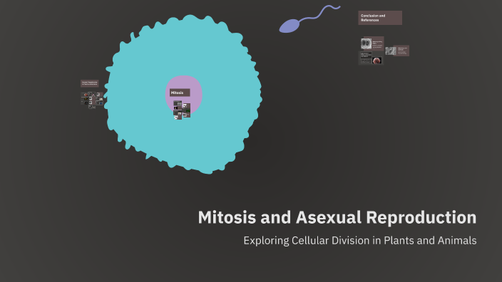 Mitosis and Asexual Reproduction by Amreet Sandhu on Prezi