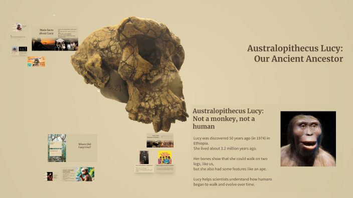 Discovering Australopithecus Lucy: Our Ancient Ancestor by Emma ...